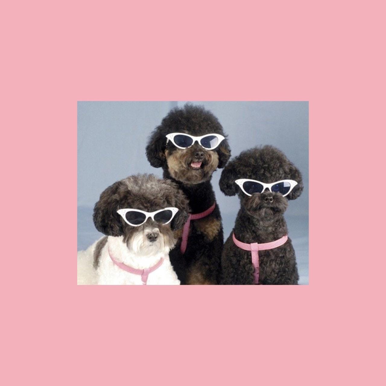 No.080:夜十：NACK FIVE ～ナックファイブ～ - 吉祥寺/ピンサロ｜駅ちか！人気ランキング