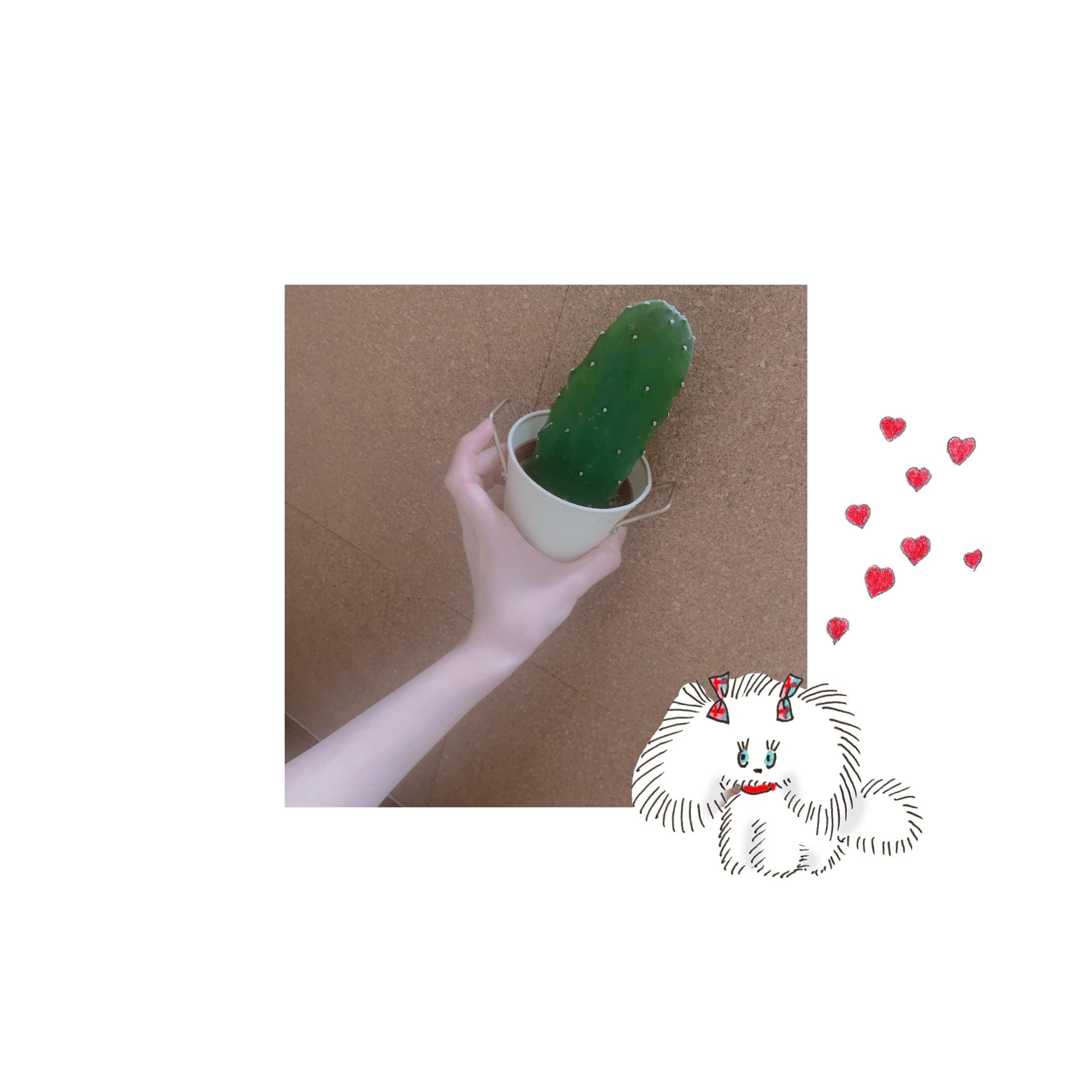 No.080:夜十の写メ日記：NACK FIVE ～ナックファイブ～ - 吉祥寺/ピンサロ｜駅ちか！人気ランキング