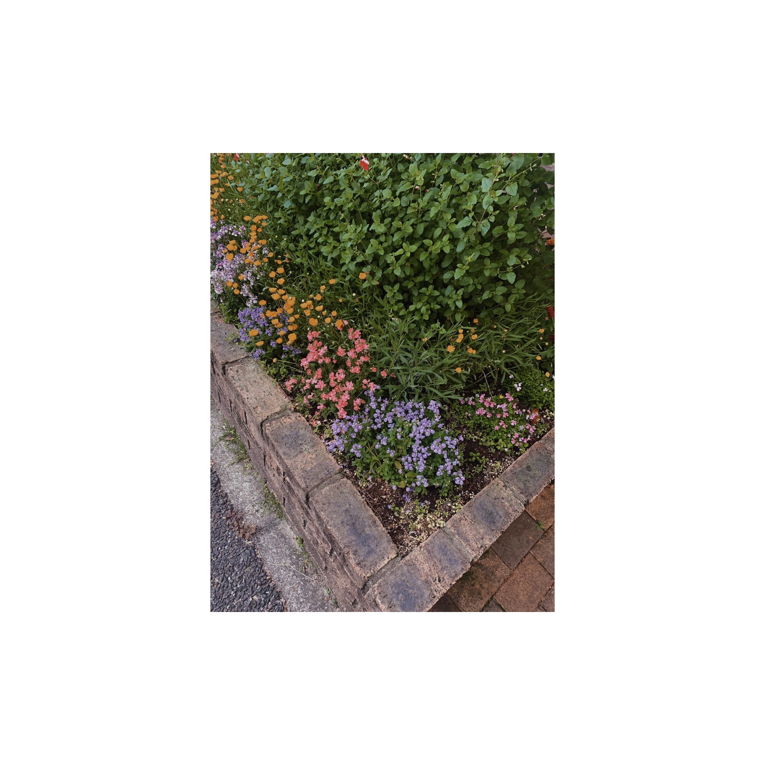 No.080:夜十：NACK FIVE ～ナックファイブ～ - 吉祥寺/ピンサロ｜駅ちか！人気ランキング